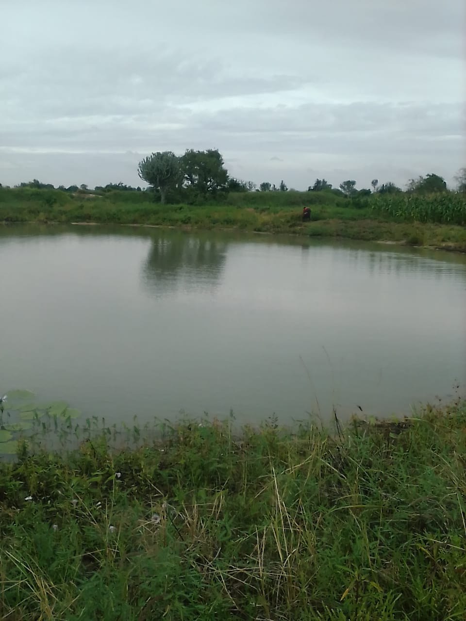 About Us – RAA Limited